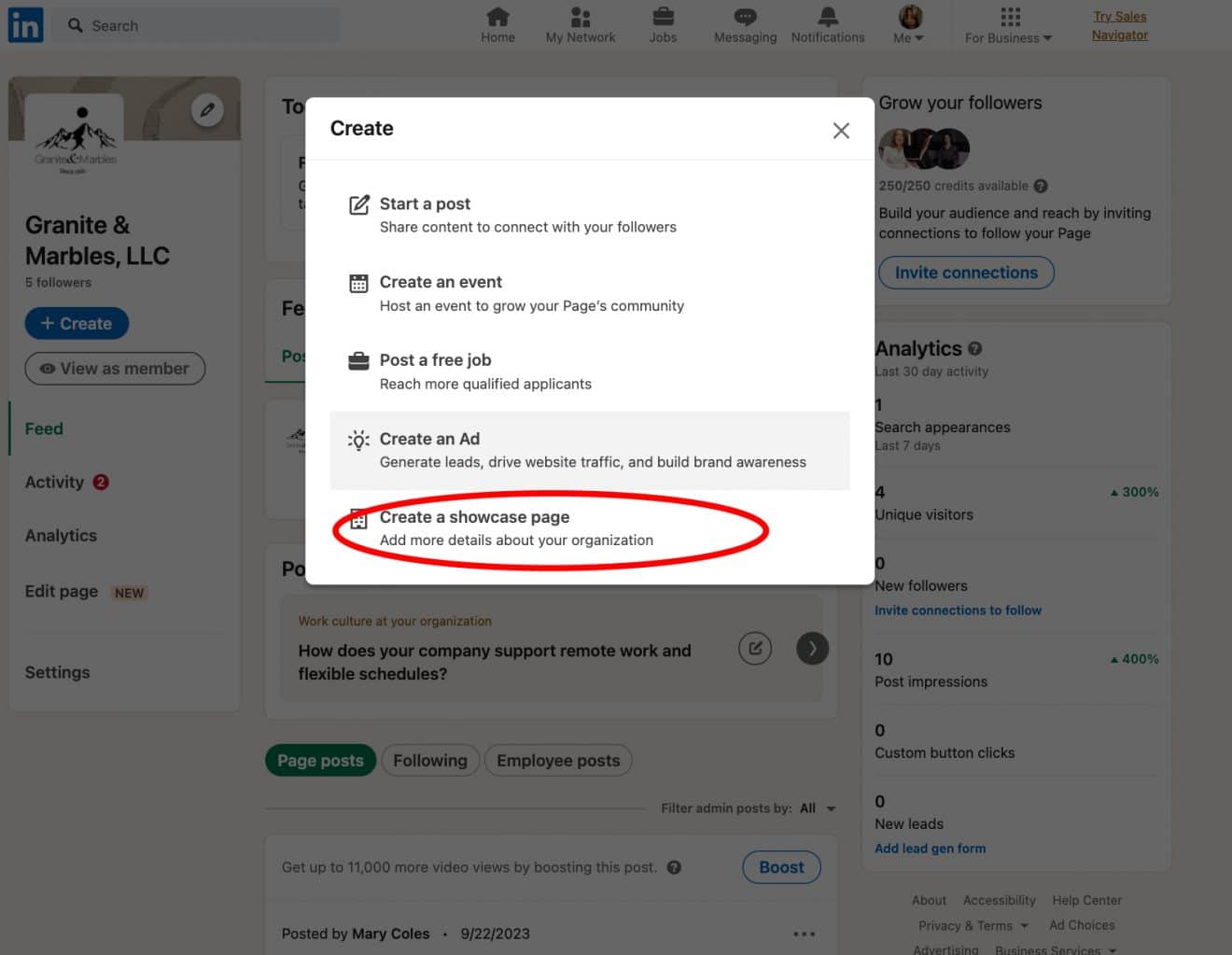 LinkedIn Showcase Pages: Examples and Best Practices