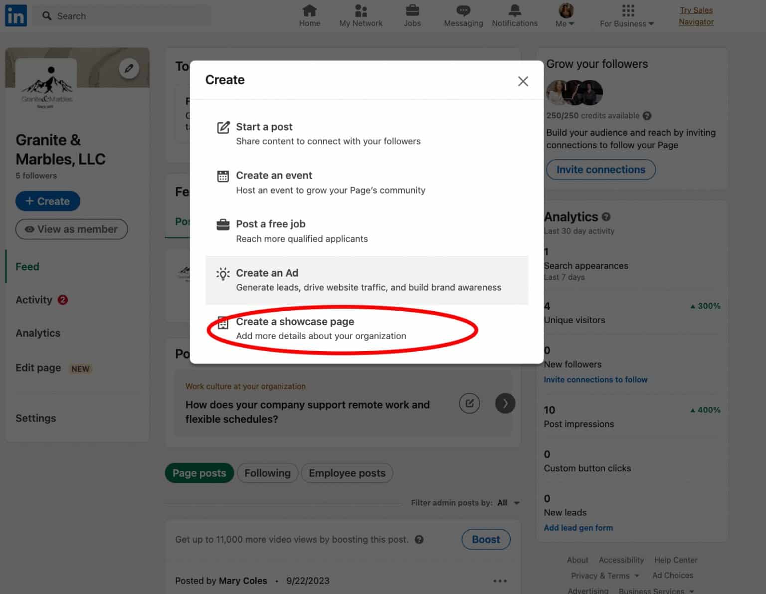 LinkedIn Showcase Pages: Examples and Best Practices