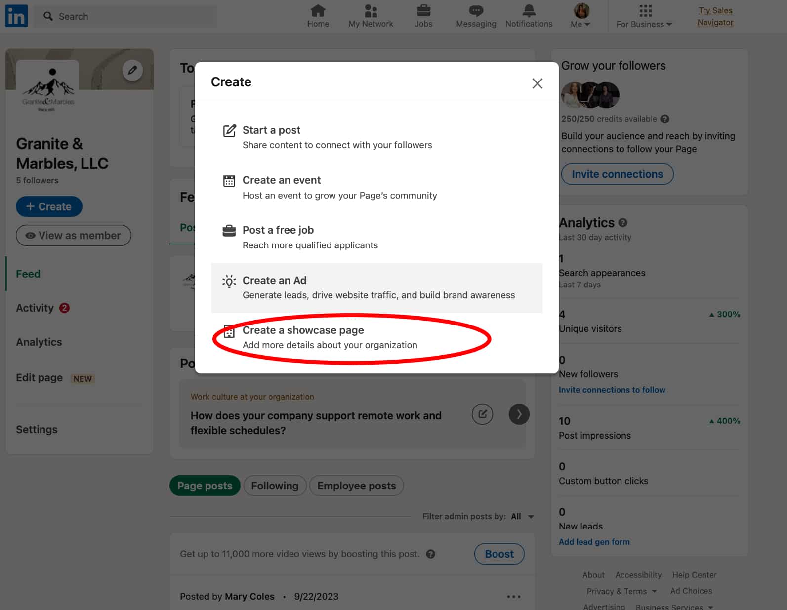 LinkedIn Showcase Pages: Examples and Best Practices